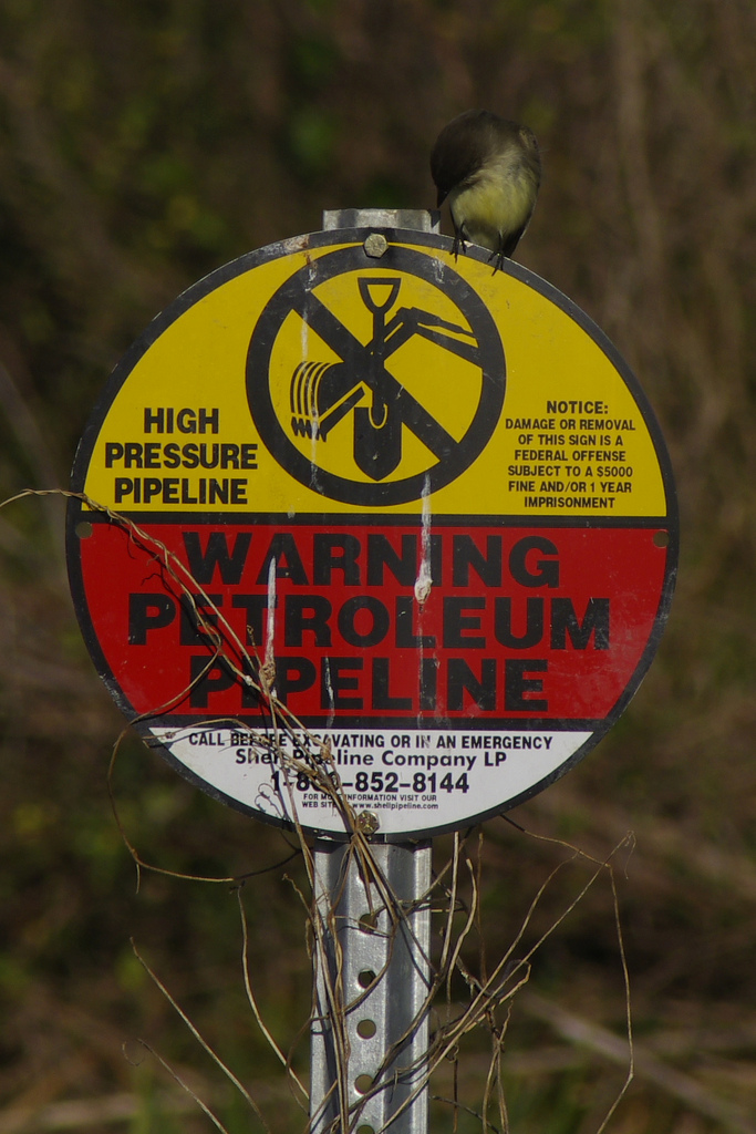 New data undermine oil and gas industry's pipeline safety claims ...