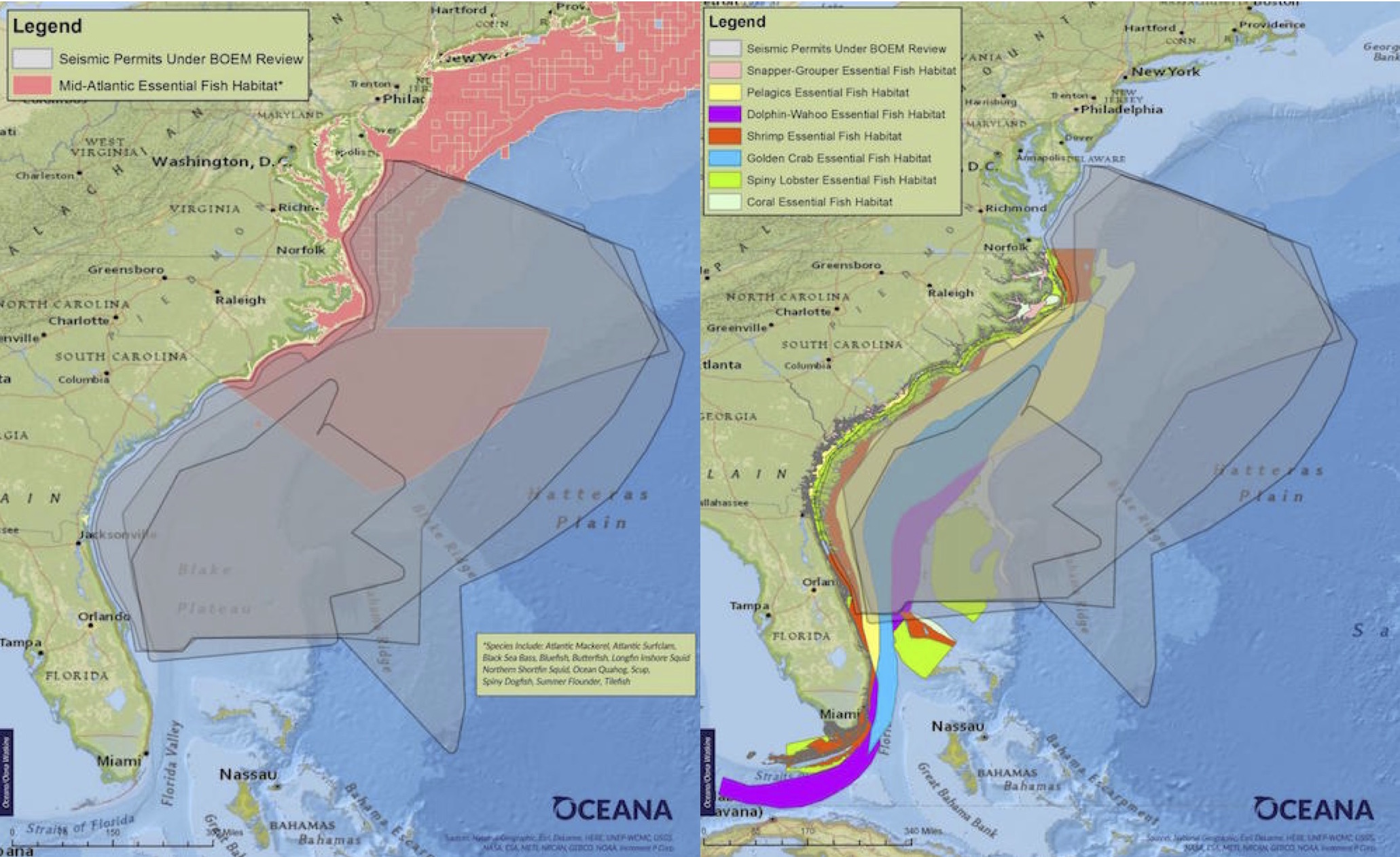 The ongoing fight over seismic testing for Atlantic oil and gas ...